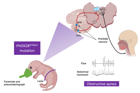 Masters of science | Neurodiderot